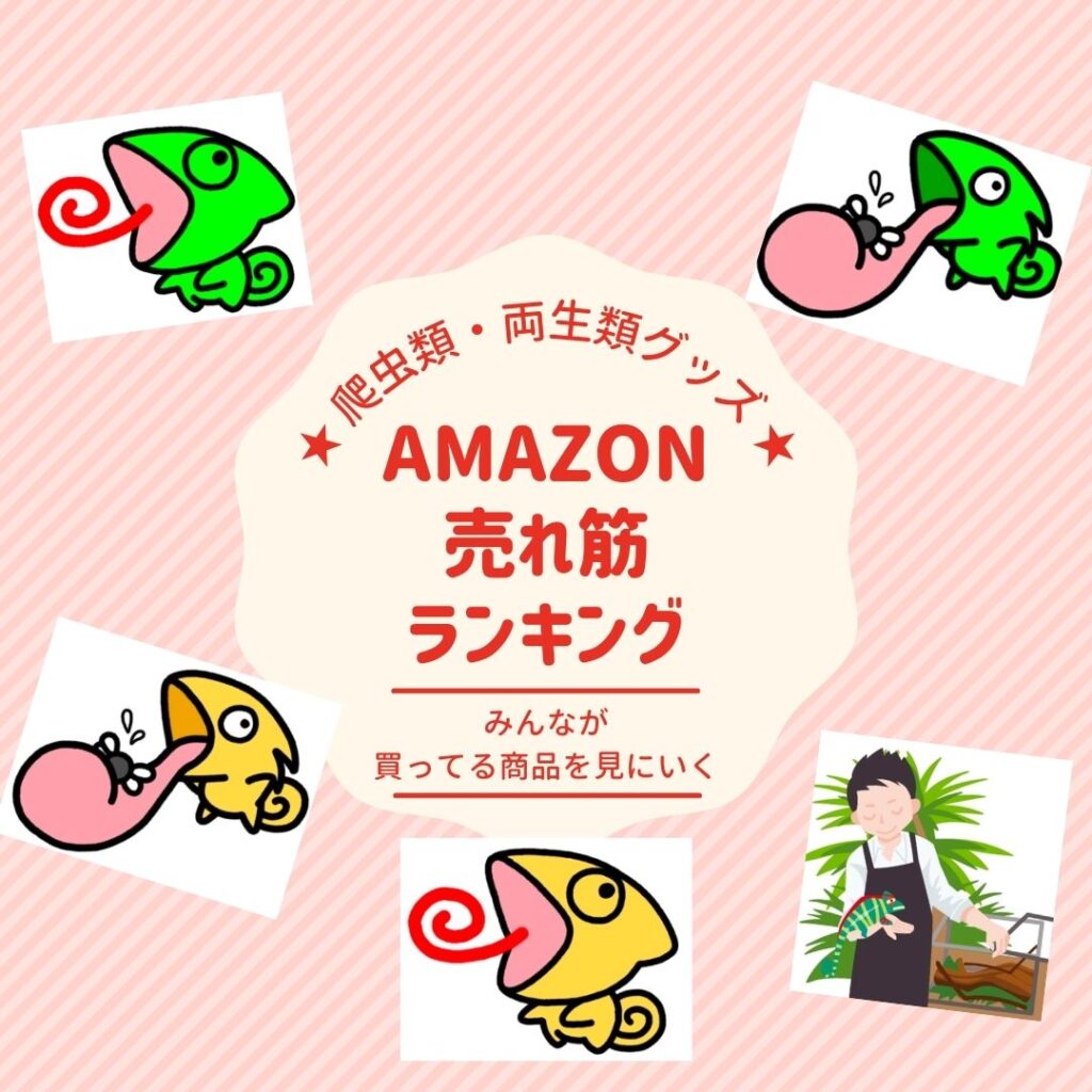 爬虫類のグラブパイ（Repashy Grub Pie）給餌完全ガイド！BSFL系人工練り餌の特徴・与え方を徹底解説｜カメレオン暮らし