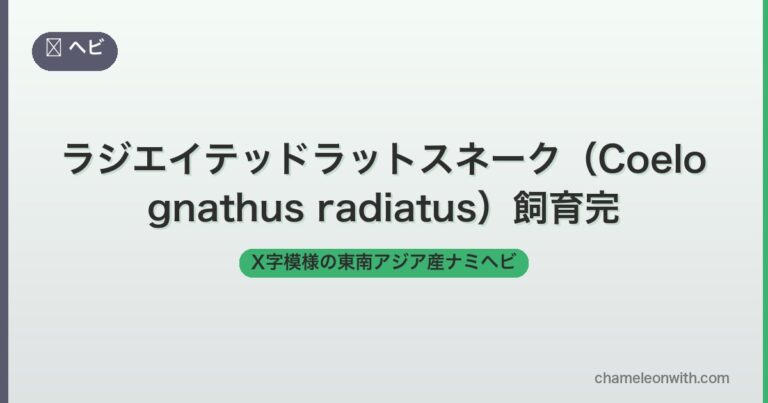 ラジエイテッドラットスネーク（Coelognathus radiatus）飼育完全ガイド｜X字模様が美しい東南アジアの丈夫なナミヘビの特徴 ...